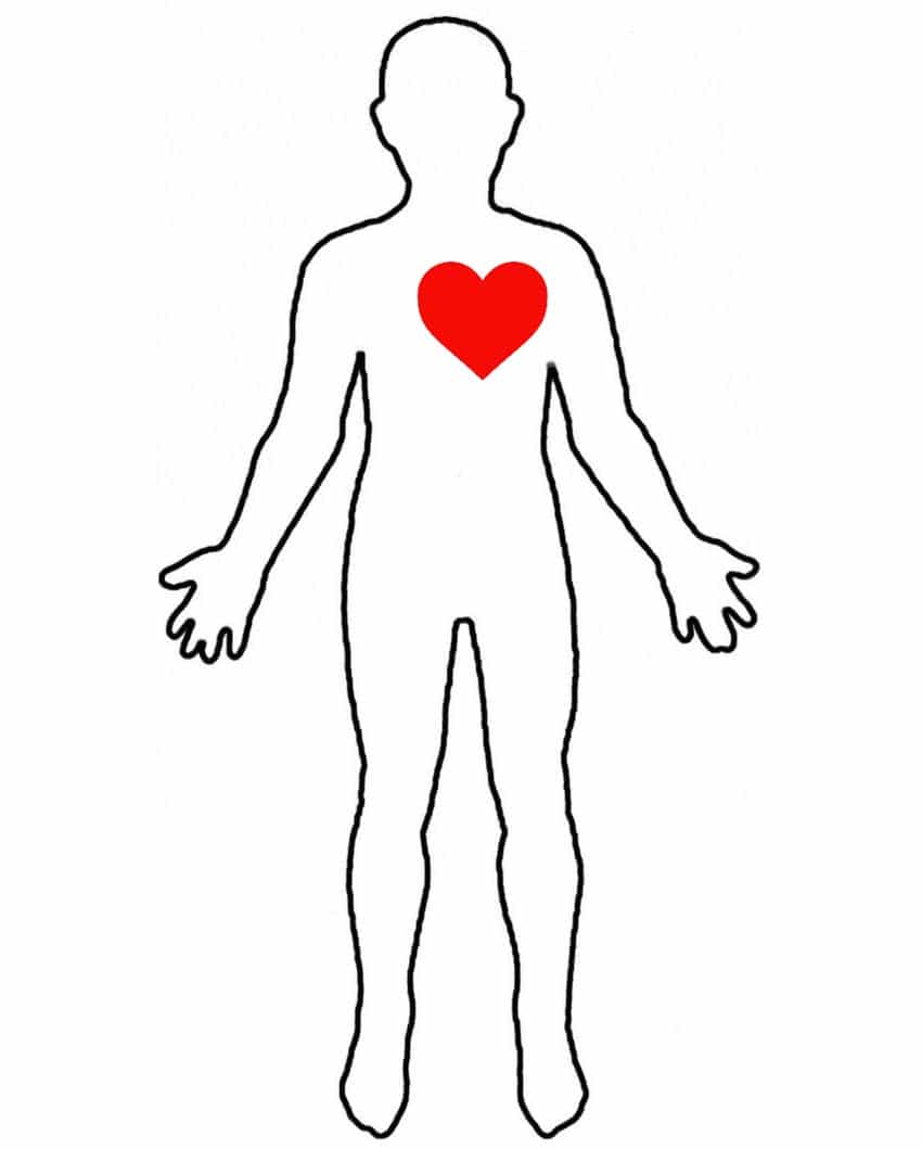 Divorce Support and Recovery Classes